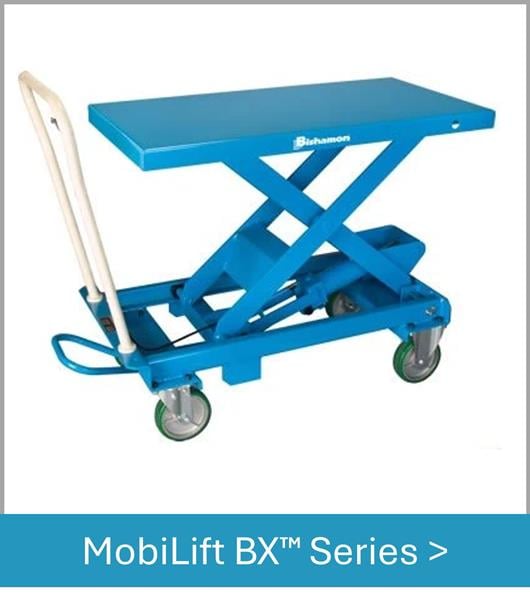 Homepage [bishamon.motionsavers.com]