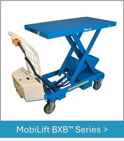 Homepage [bishamon.motionsavers.com]