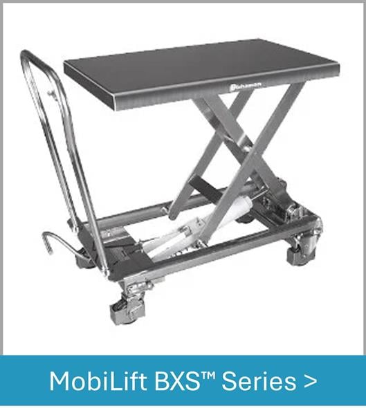 Homepage [bishamon.motionsavers.com]