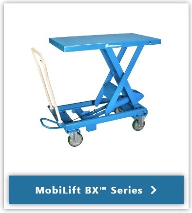 Homepage [bishamon.motionsavers.com]